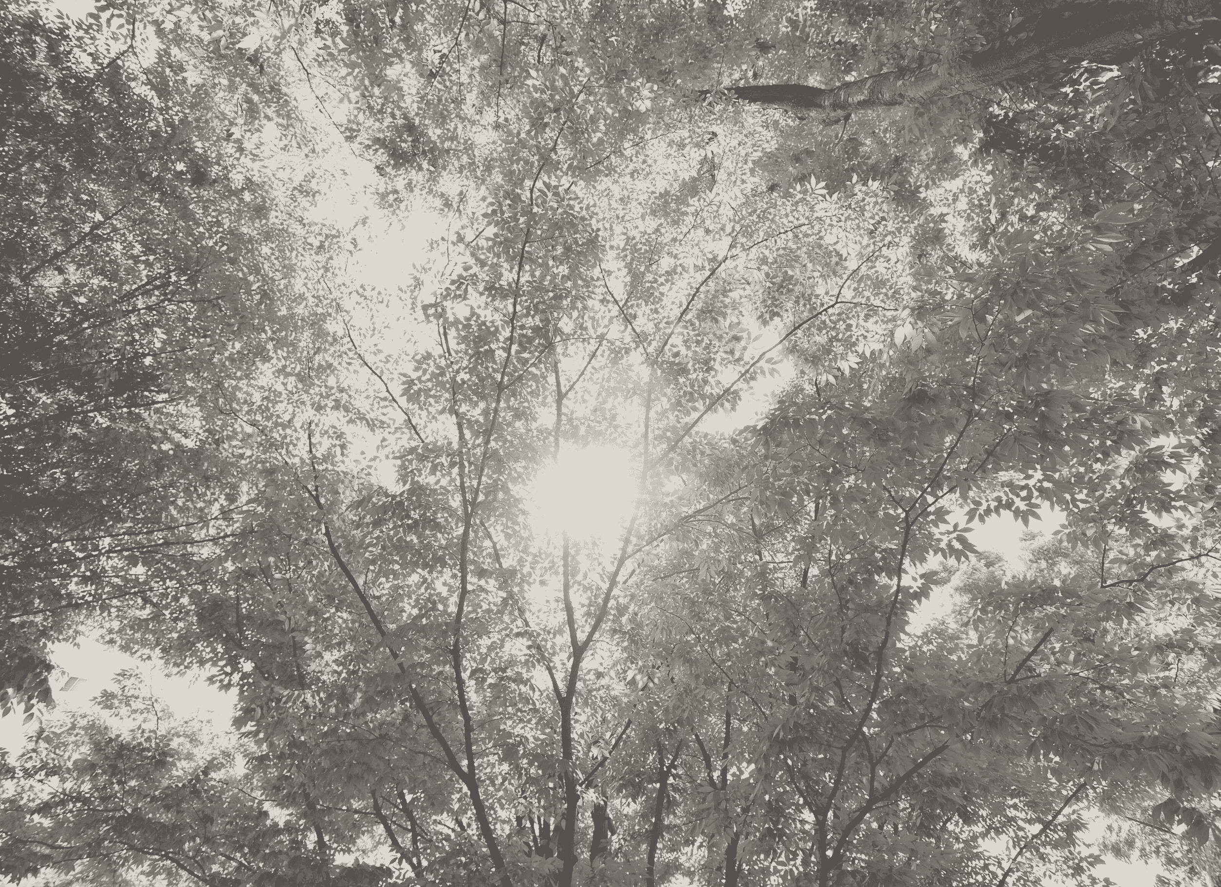 What does the red/green test actually do? | Blackheath Eyecare ...